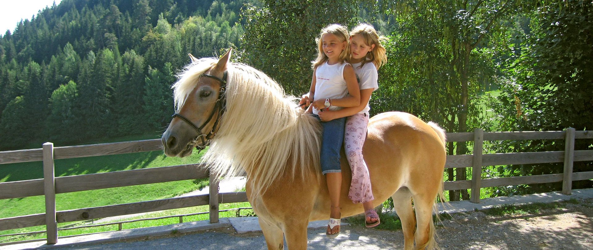 Reiturlaub im Reiterhof Sulfner Südtirol | Hotel Sulfner **** in Hafling